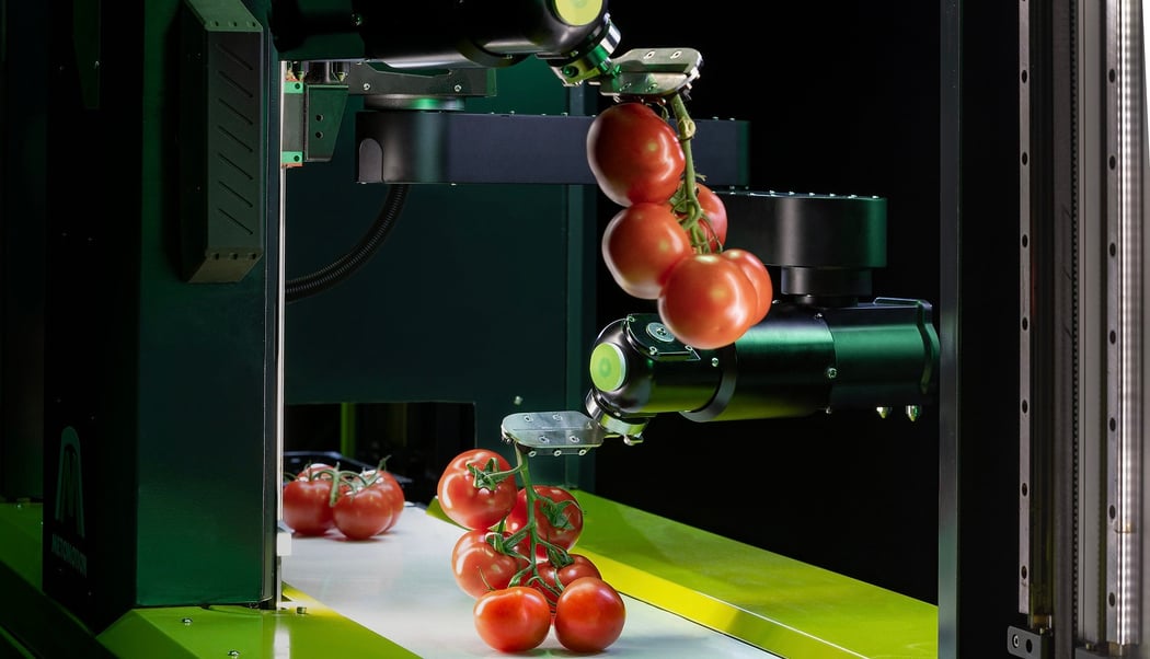GRoW Tomato Harvesting Robot | For picking, collecting and boxing your ...