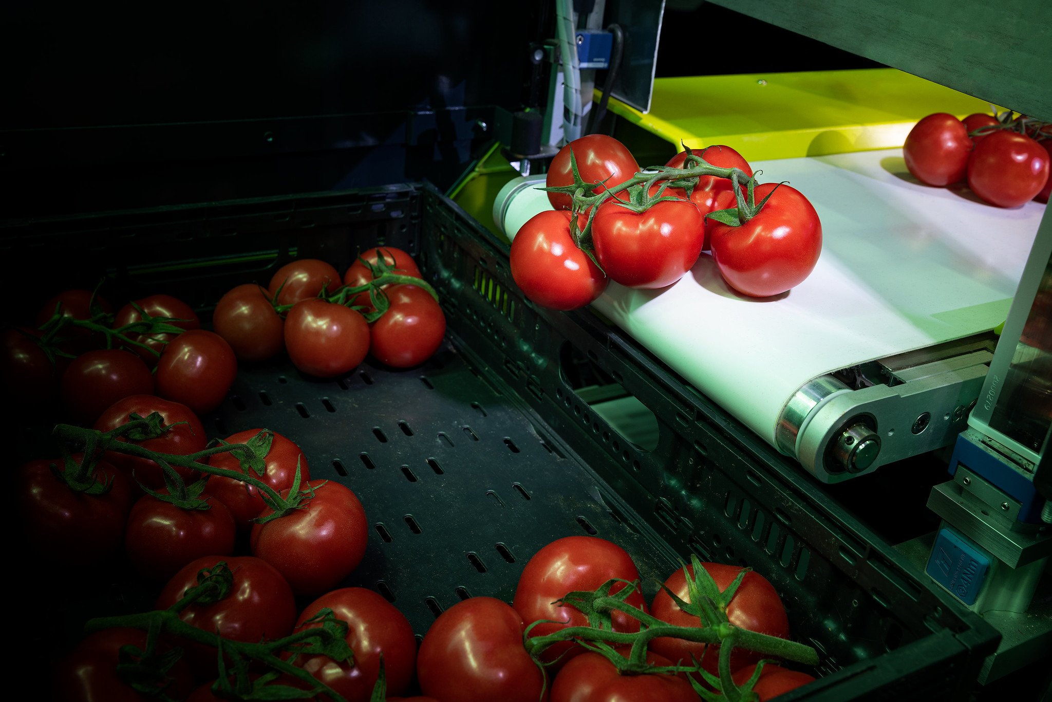 GRoW Tomato Harvesting Robot | For picking, collecting and boxing your ...