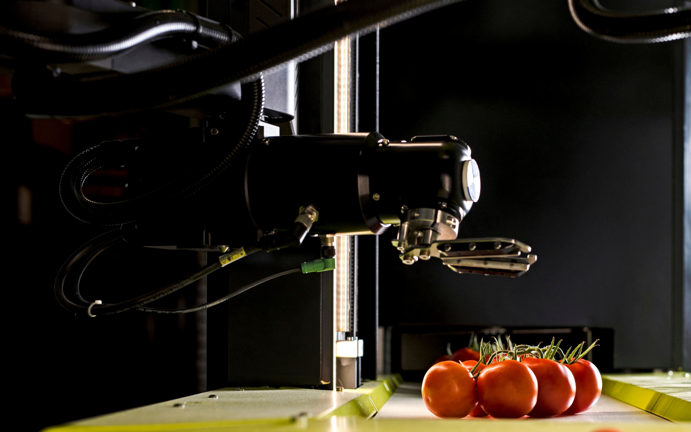 GRoW Tomato Harvesting Robot | For picking, collecting and boxing your ...